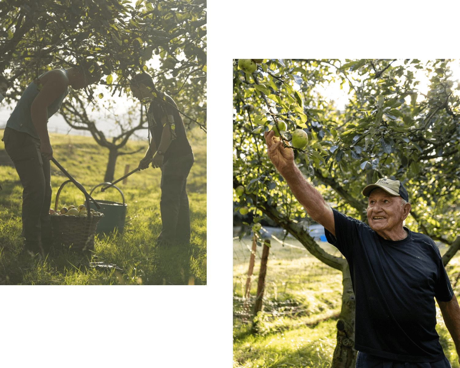 KUPELA - Redécouvrez le cidre basque